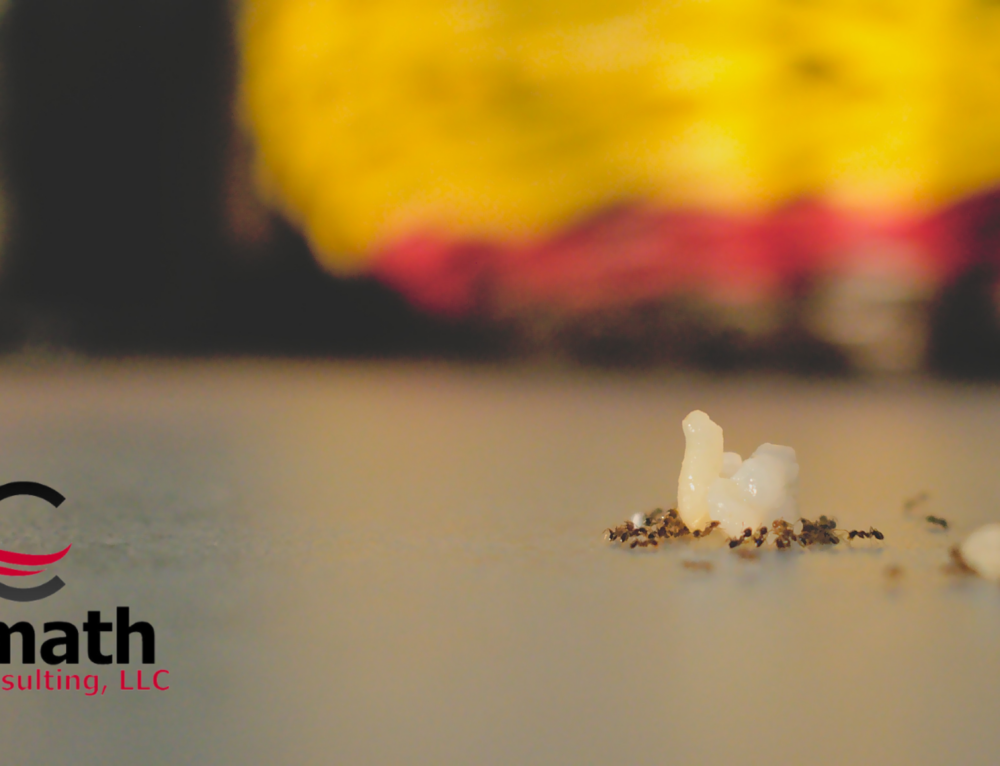 3 Steps to Completing a Total Loss Inventory List After a House Fire ...